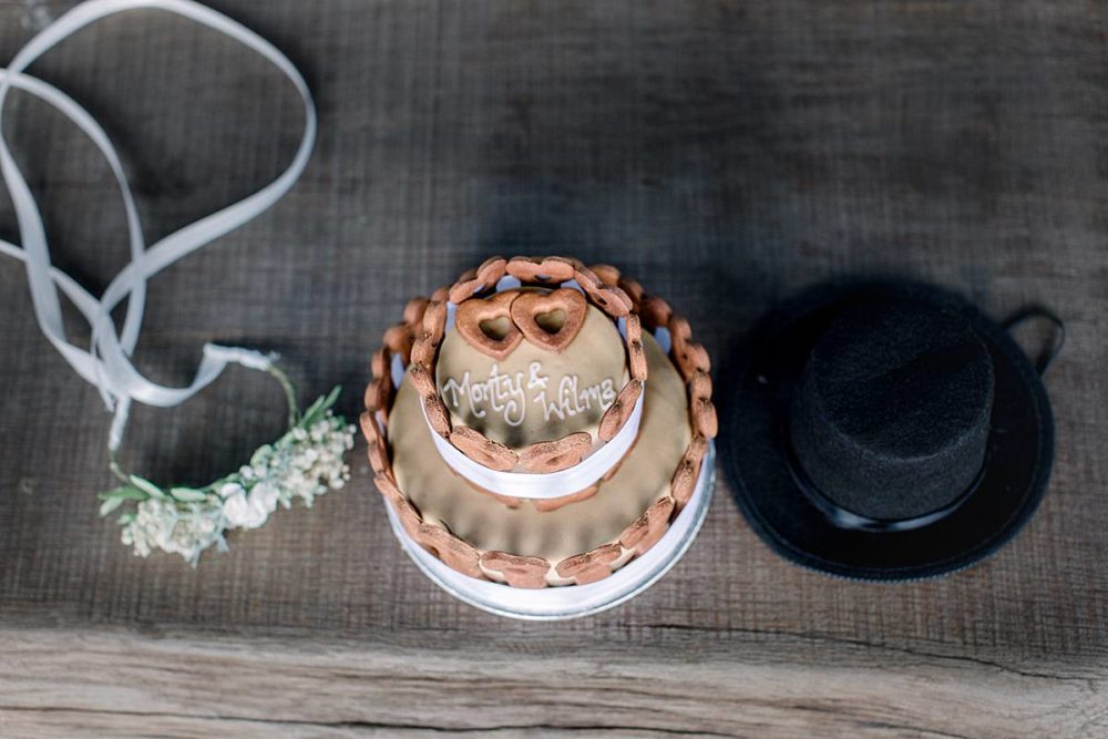 Furrytale Sausage Dog Wedding At Wellington Wood, Norfolk - Magpie Wedding